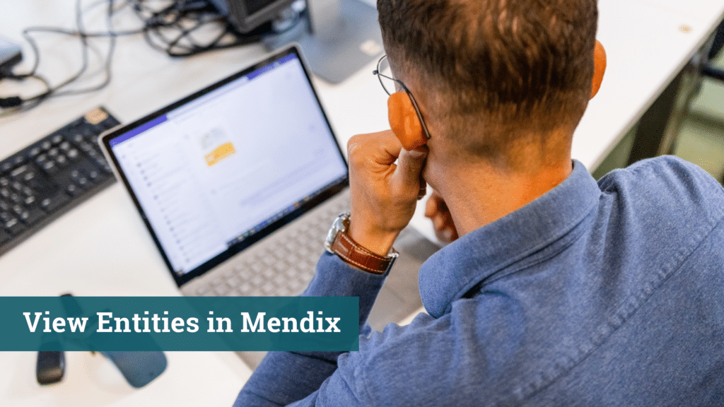 View Entities in Mendix | E-mergo